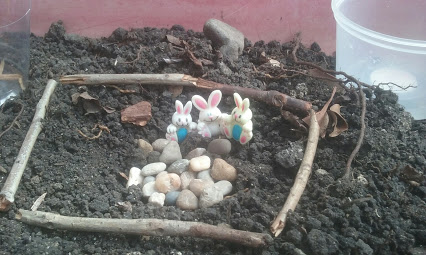 Rabbit Burrows | misscarriescorner