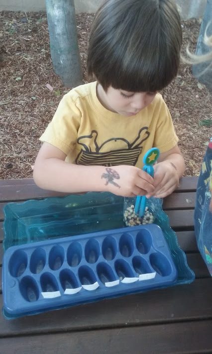 Flint Kernel Counting | misscarriescorner