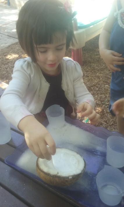 Exploding Coconuts | misscarriescorner