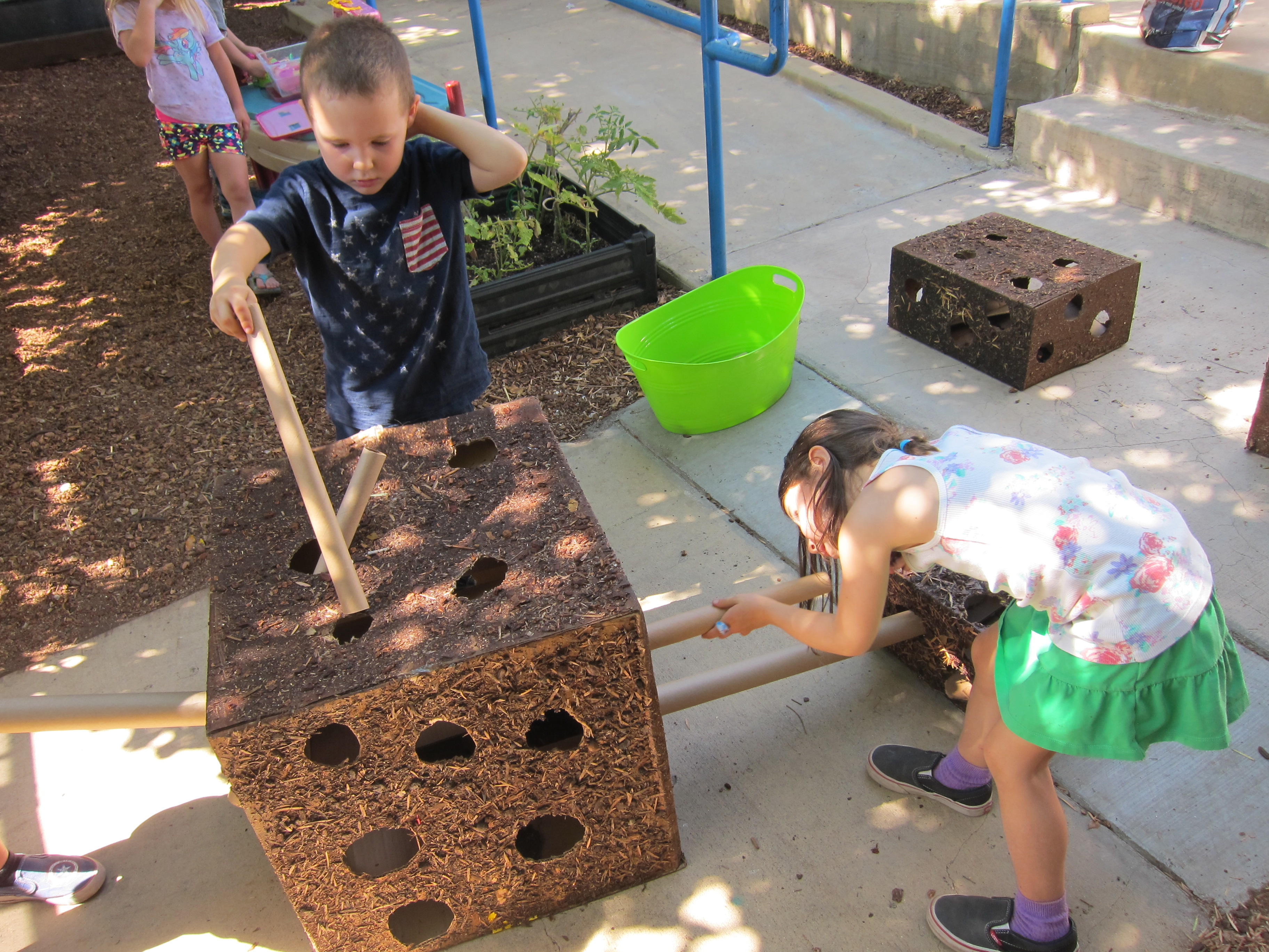 Ant Colony – Group Project | misscarriescorner