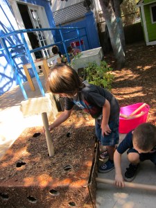 Ant Colony – Group Project | misscarriescorner