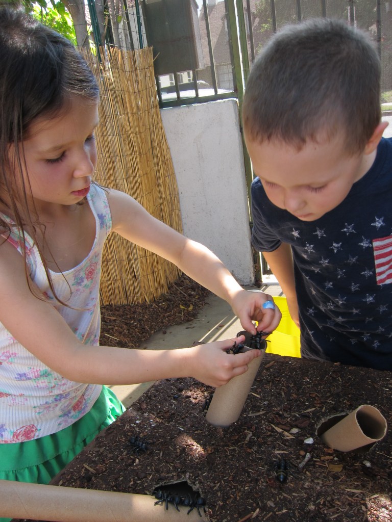 Ant Colony – Group Project | misscarriescorner