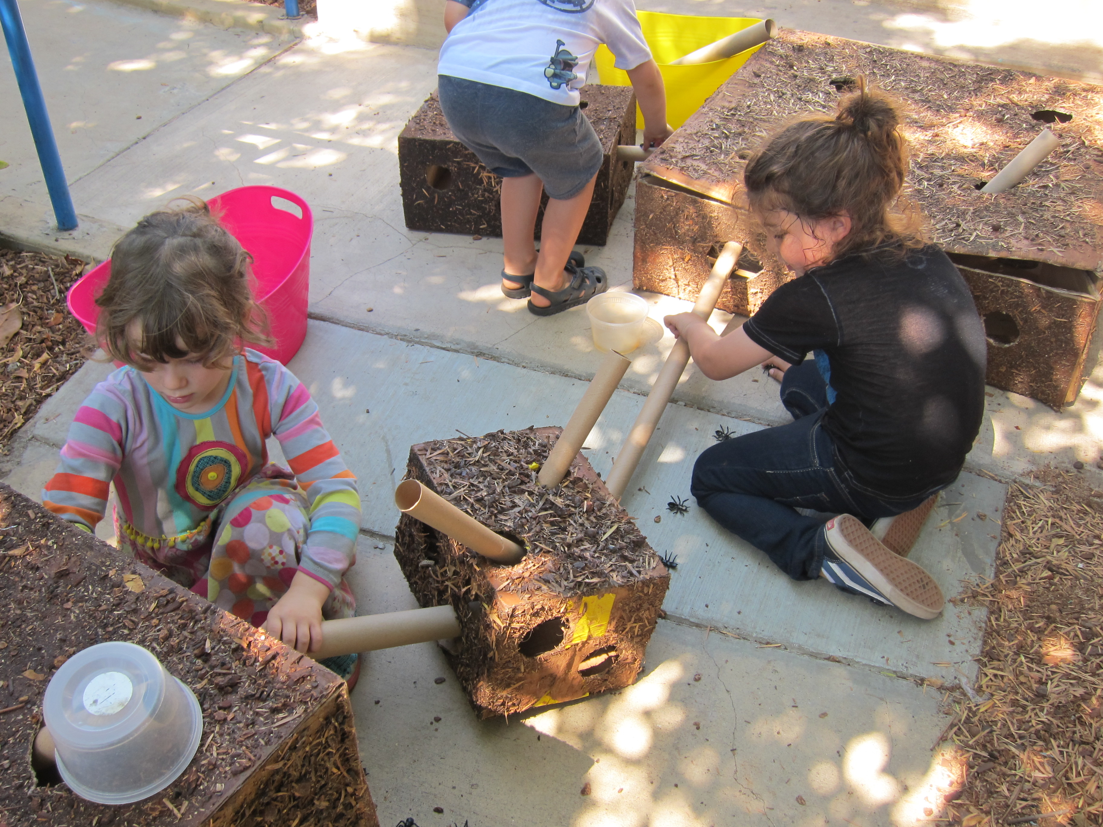 Ant Colony – Group Project | misscarriescorner