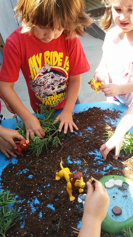 The Lion Guard Story Tray | misscarriescorner