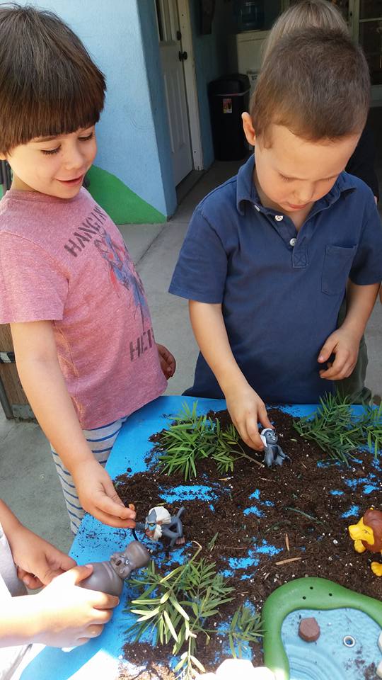 The Lion Guard Story Tray | misscarriescorner