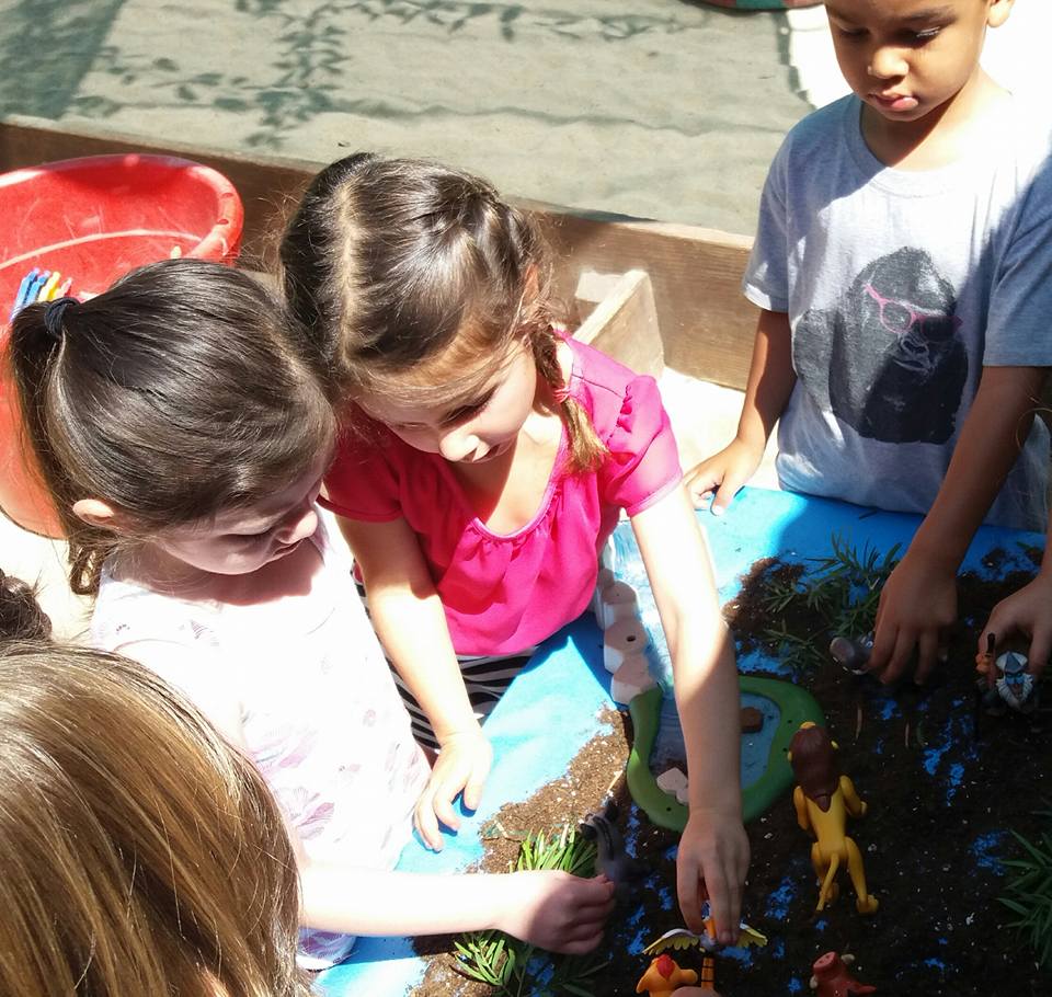 The Lion Guard Story Tray | misscarriescorner