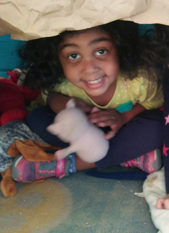 Bear Cave Dramatic Play | misscarriescorner